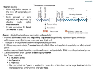 Regulation of gene transcription in prokaryotes and eukaryotes.pptx