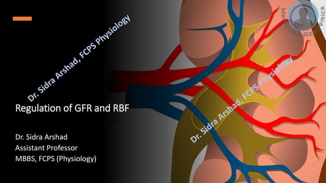Renal Physiology - Regulation of GFR and RBF | PPT