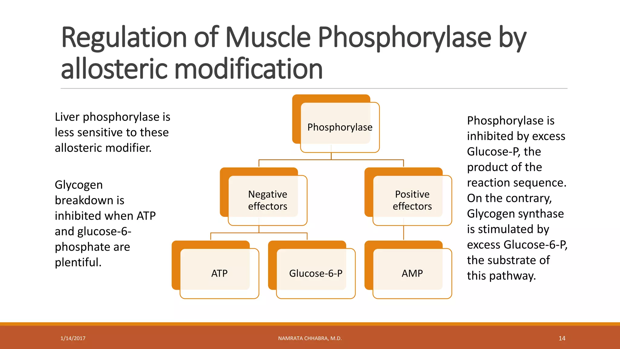 Regulation of glycogen metabolism | PPTX