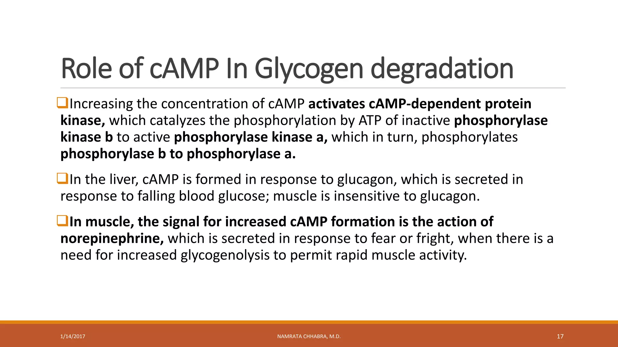 Regulation of glycogen metabolism | PPTX
