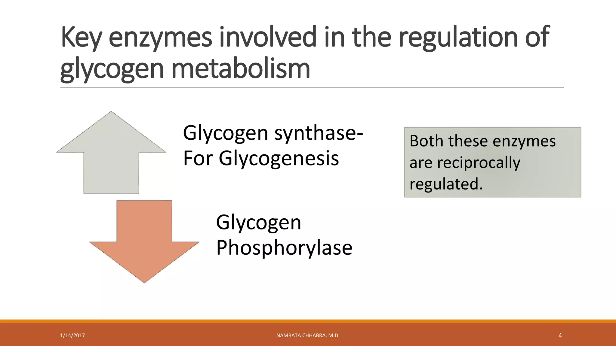 Regulation of glycogen metabolism | PPTX