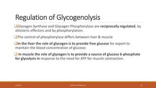Regulation of glycogen metabolism | PPTX