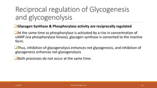 Regulation of glycogen metabolism | PPTX