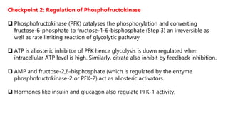 Regulation of Glycolysis | Glycolysis and Regulation Mechanism | PPTX