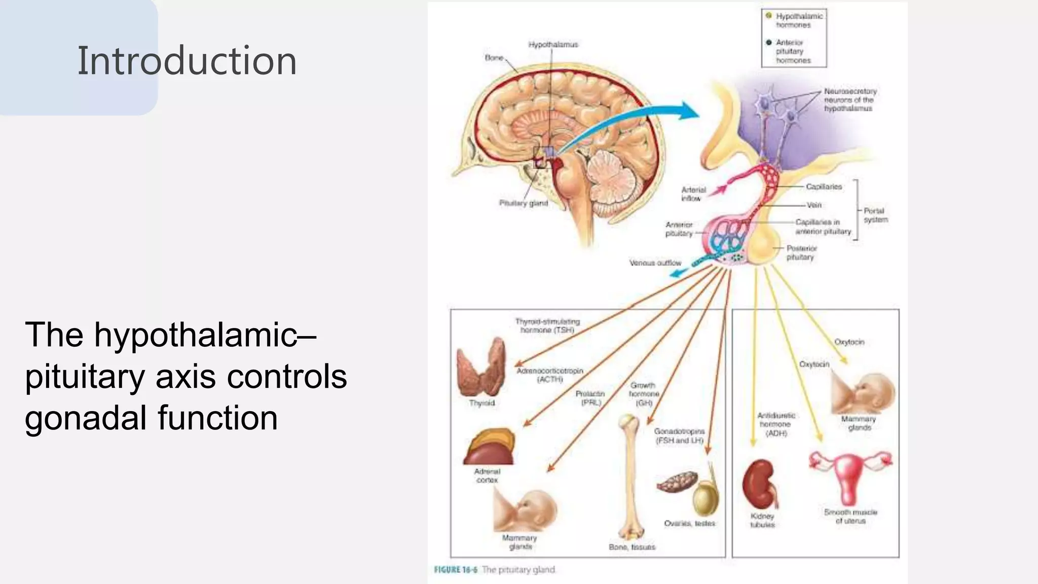 Regulation of gonadal function | PPTX