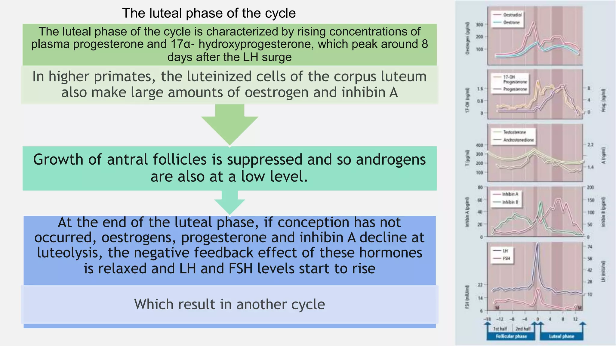 Regulation of gonadal function | PPTX