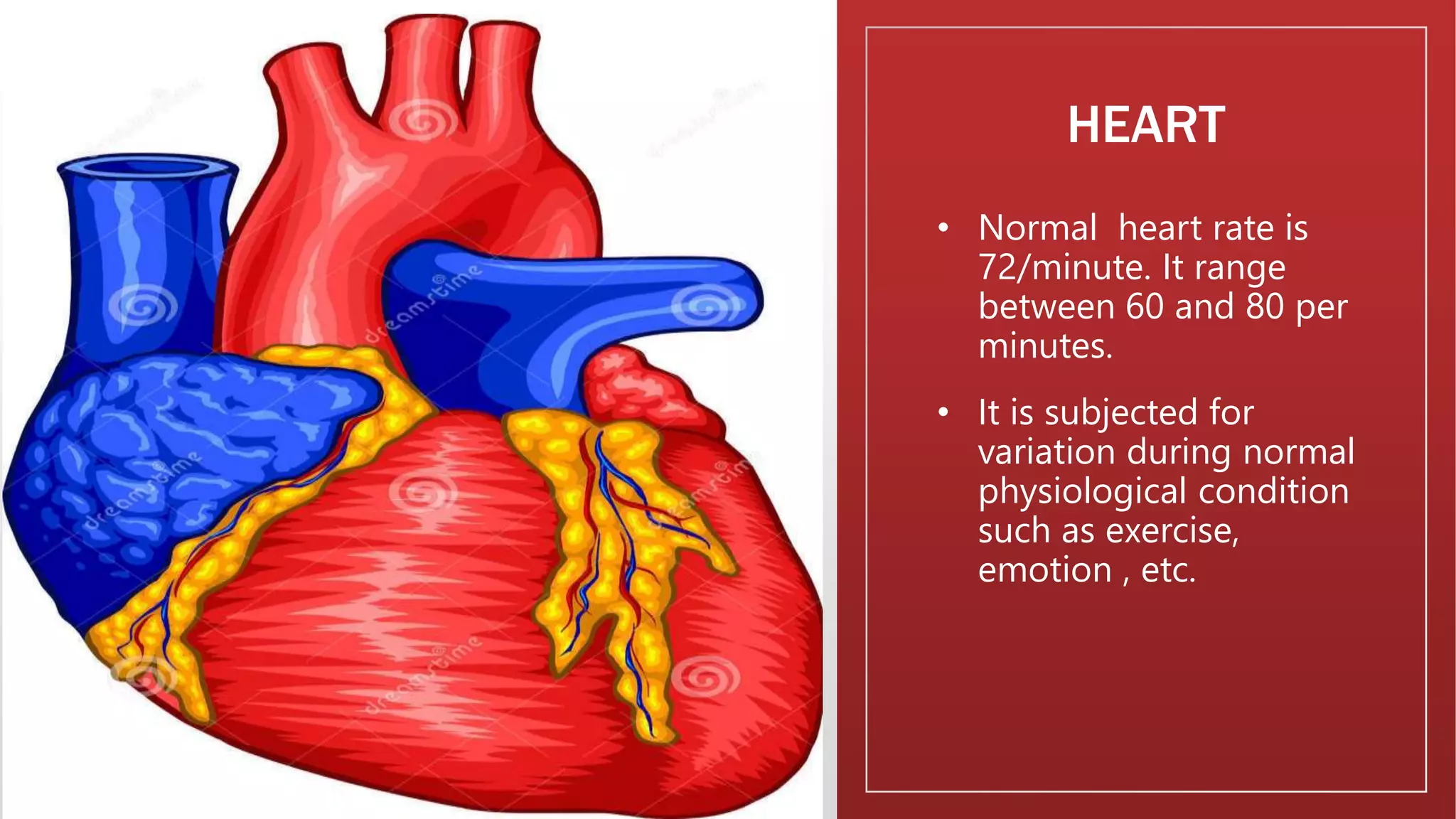 Regulation of heart rate | PPTX