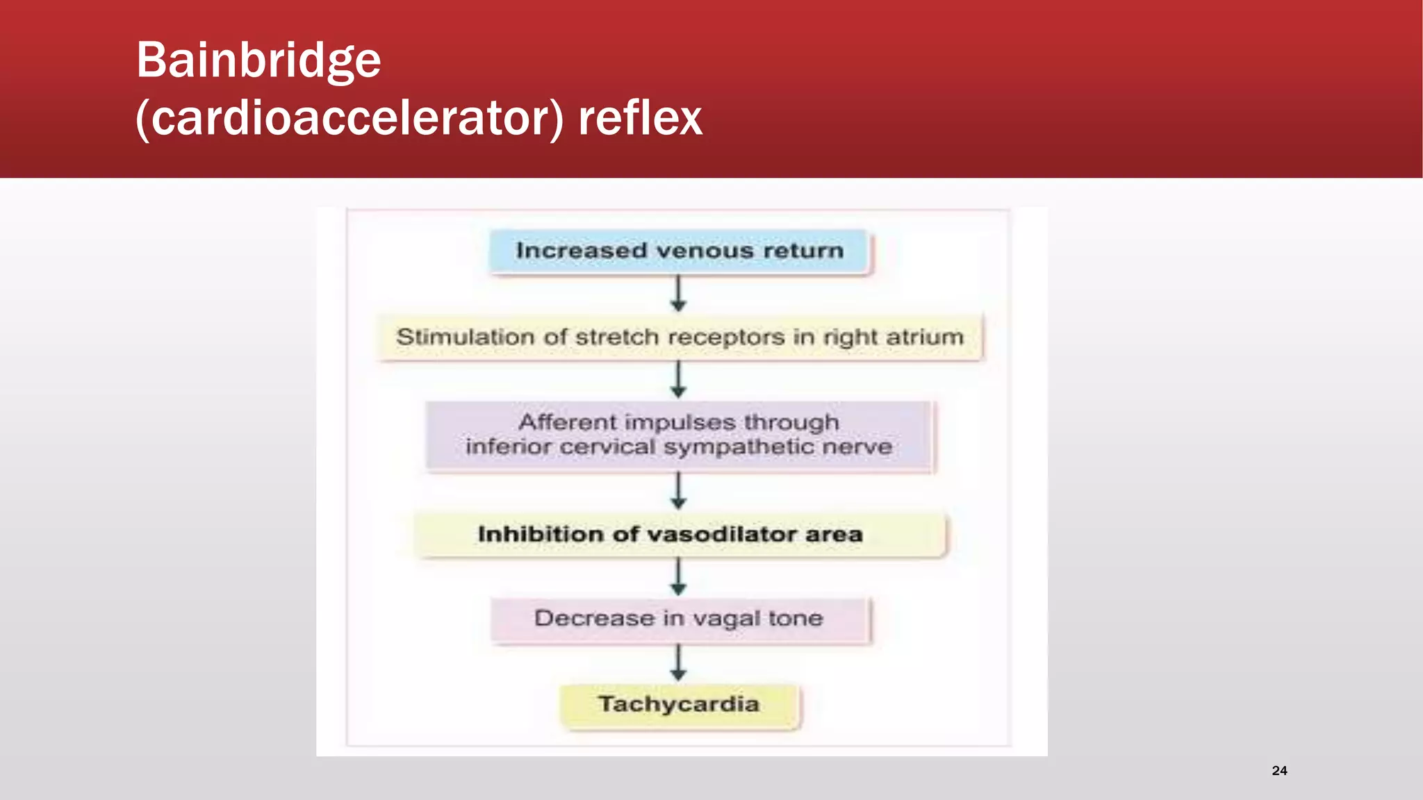 Regulation of heart rate | PPTX