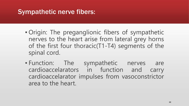 Regulation of heart rate | PPTX