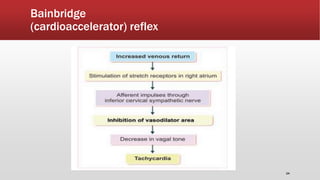 Regulation of heart rate | PPTX