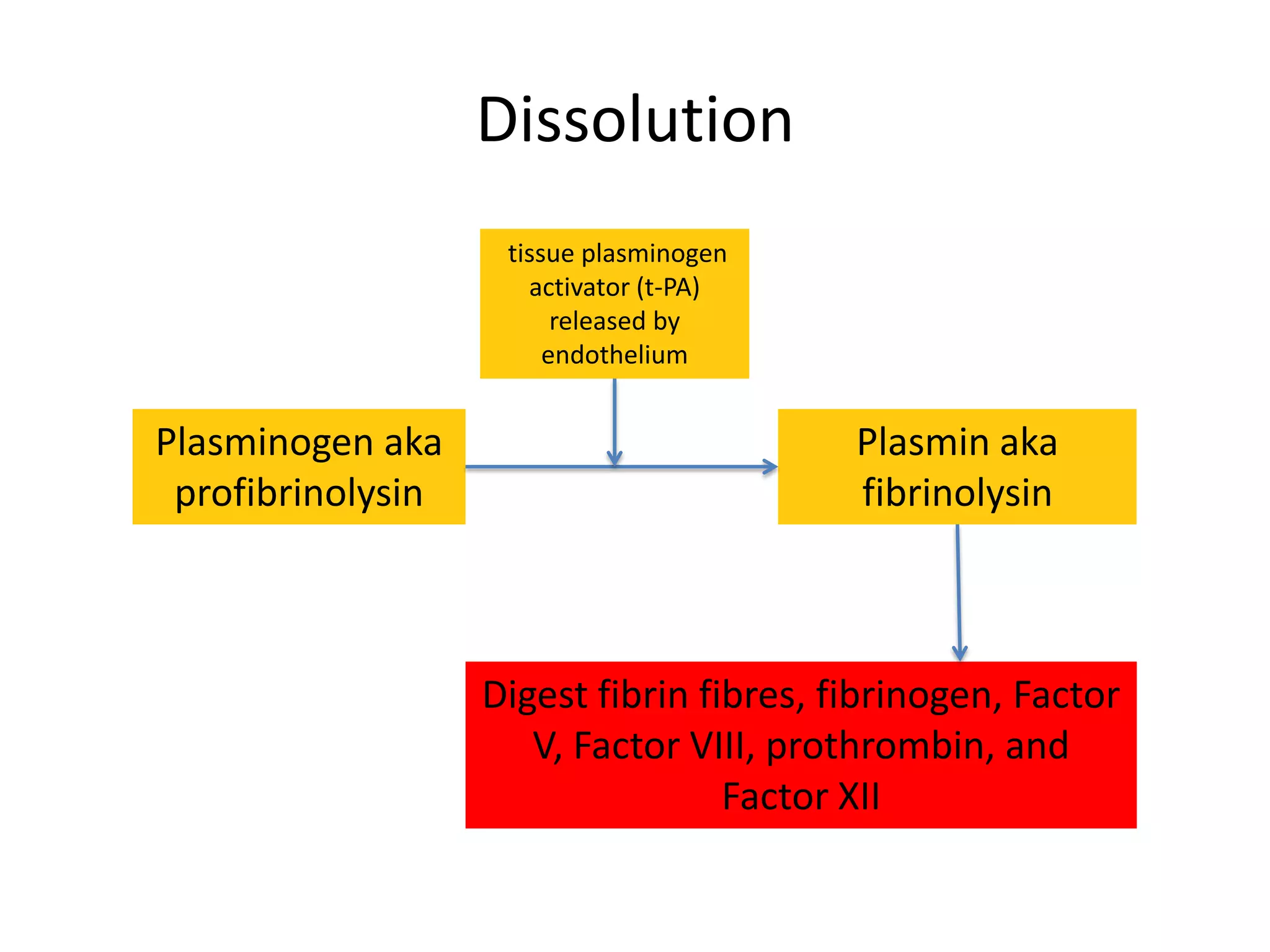 Regulation of Hemostasis | PPTX