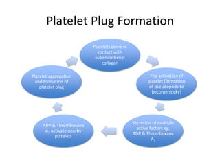Regulation of Hemostasis | PPTX