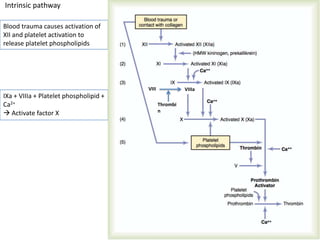 Regulation of Hemostasis | PPTX