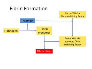 Regulation of Hemostasis | PPTX