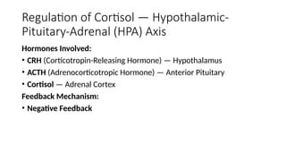 REGULATION OF HORMONES SECRETION ENDOCRINE.pptx