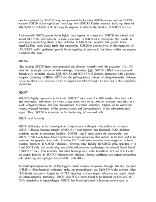 Regulation of immune response | DOCX