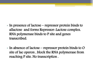Regulation of lac operon positive nd negative | PPTX