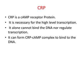 Regulation of lac operon positive nd negative | PPTX