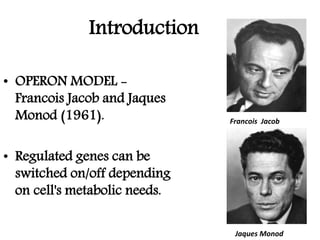 Regulation of lac operon positive nd negative | PPTX