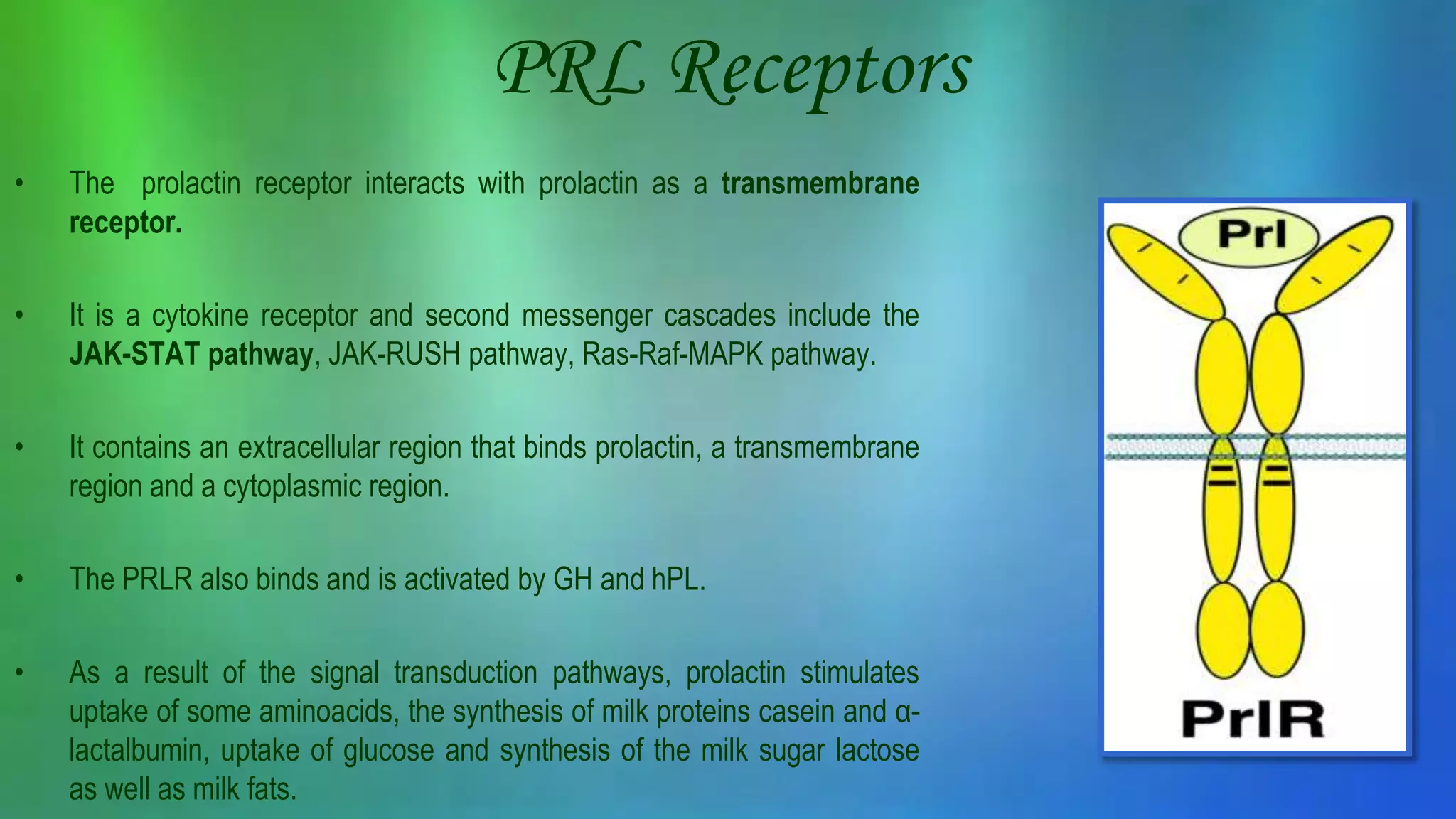 Regulation of lactogenic hormones | PPTX