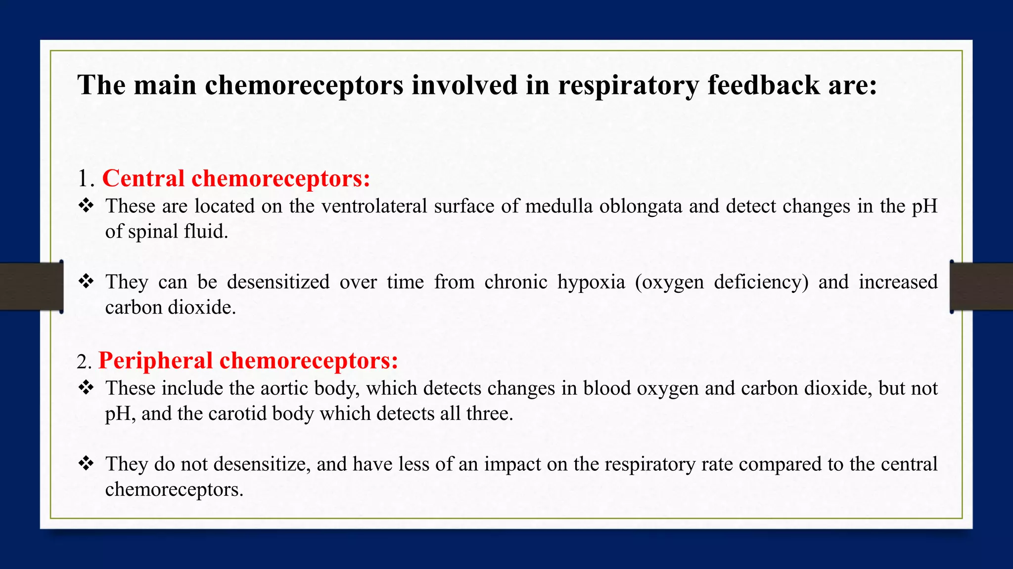 Regulation of lungs respiration | PPTX