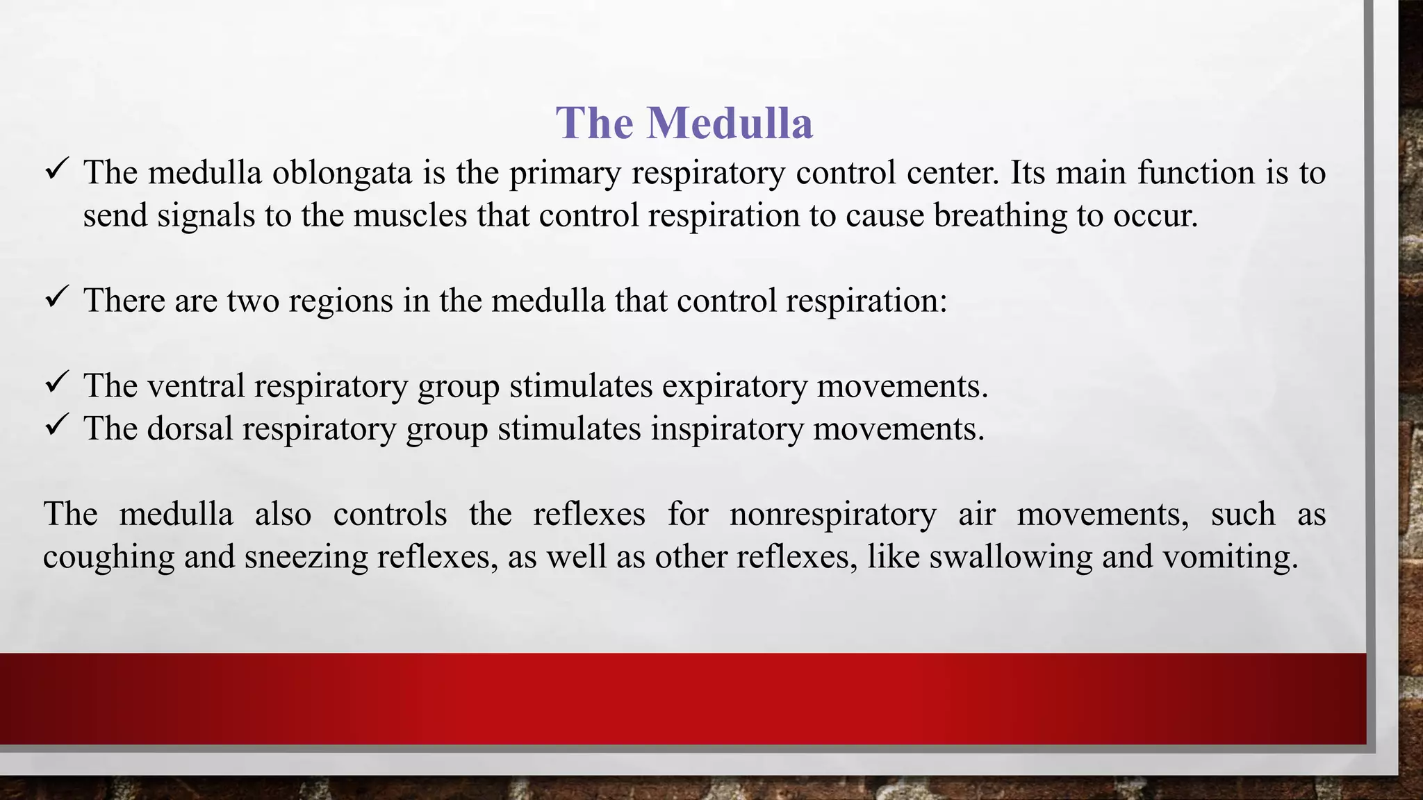 Regulation of lungs respiration | PPTX