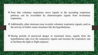 Regulation of lungs respiration | PPT