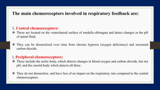 Regulation of lungs respiration | PPT