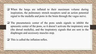 Regulation of lungs respiration | PPT