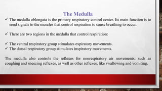 Regulation of lungs respiration | PPTX