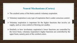 Regulation of lungs respiration | PPT
