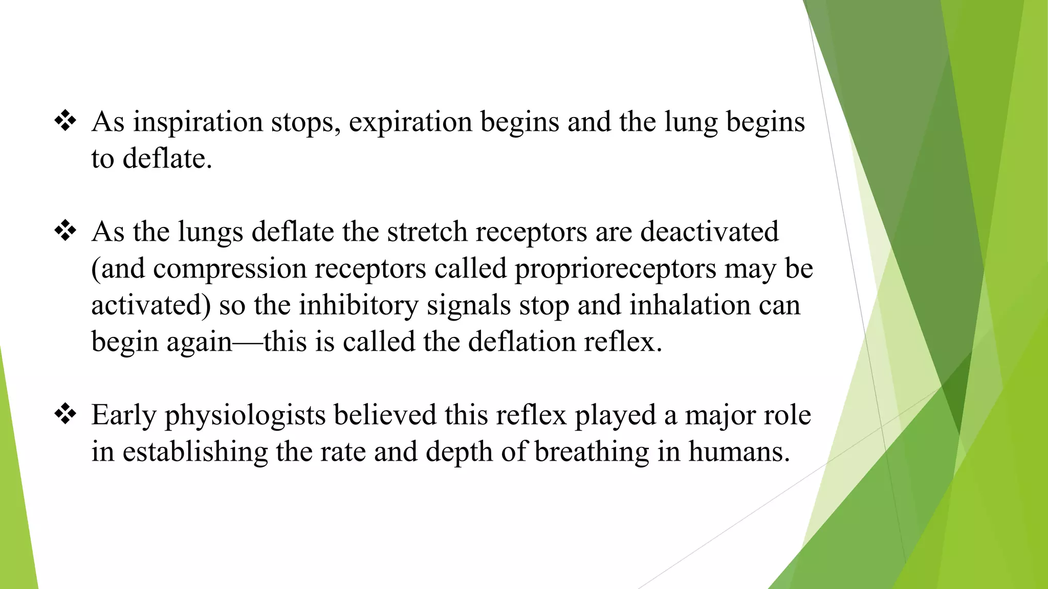 Regulation of lungs respiration | PPTX