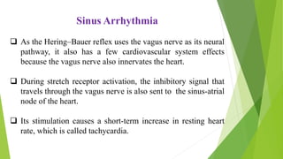 Regulation of lungs respiration | PPTX