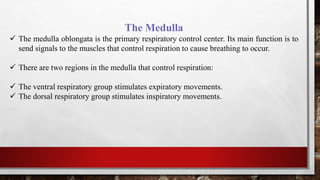 Regulation of lungs respiration | PPTX