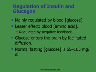 Regulation Of Metabolism | PPT