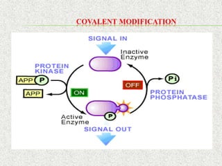 REGULATION OF METABOLISM IN PLANTS AND THE DIFFERENT MECHANISMS | PDF