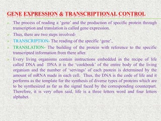 REGULATION OF METABOLISM IN PLANTS AND THE DIFFERENT MECHANISMS | PDF