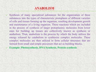 REGULATION OF METABOLISM IN PLANTS AND THE DIFFERENT MECHANISMS | PDF