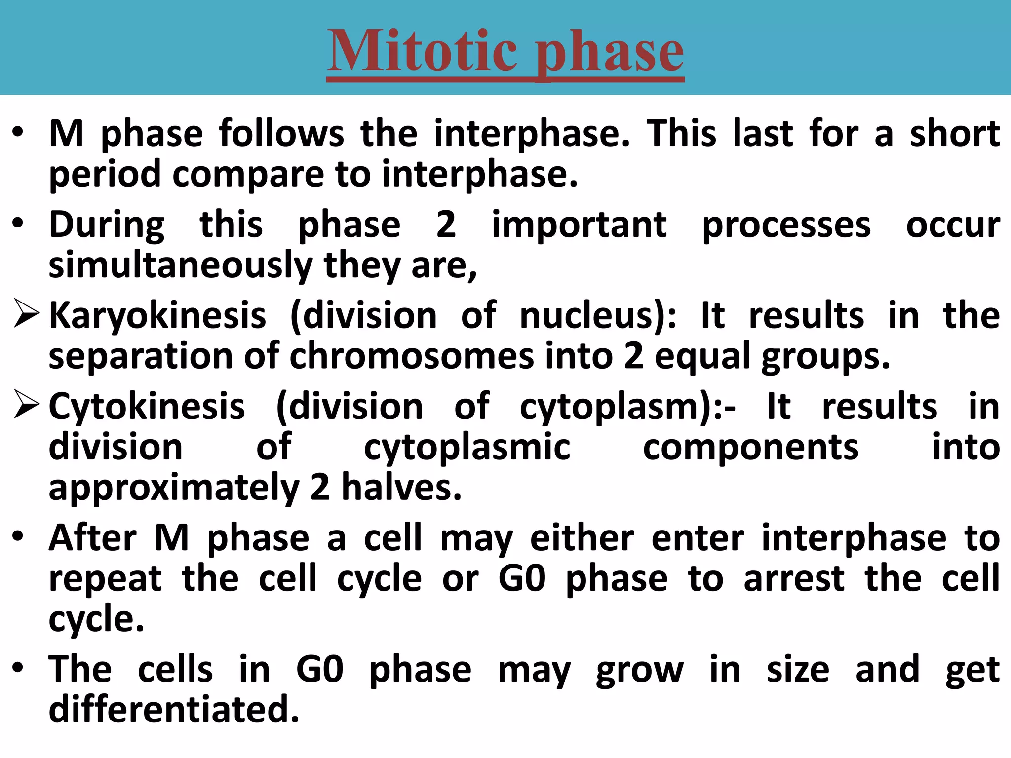 Regulation of mitotic cell cycle in eukaryotes | PPTX