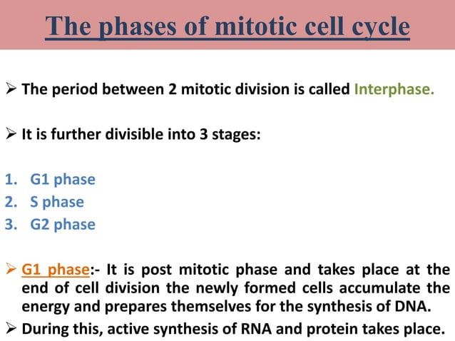 Regulation of mitotic cell cycle in eukaryotes | PPTX