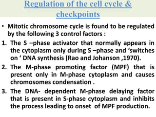 Regulation of mitotic cell cycle in eukaryotes | PPTX