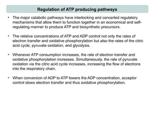 Regulation of Oxidative Phosphorylation.pptx