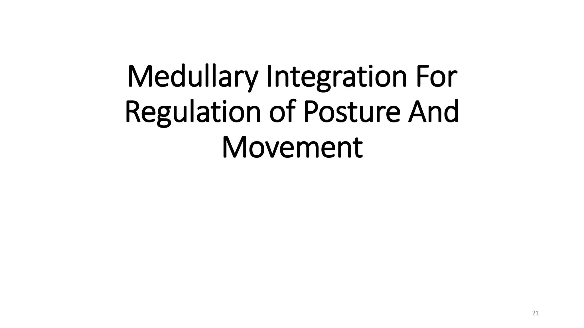 REGULATION OF POSTURE.pptx
