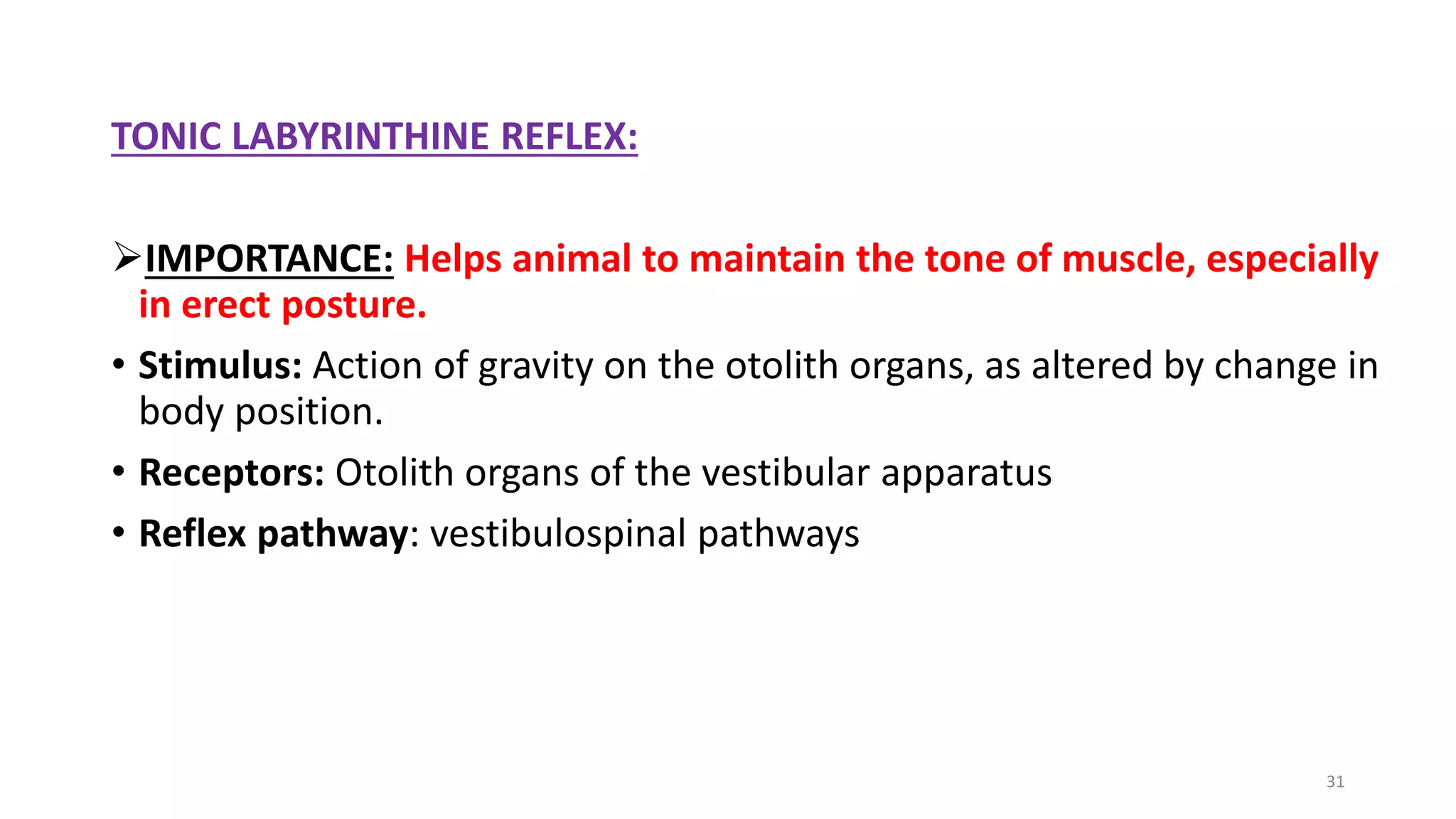 REGULATION OF POSTURE.pptx