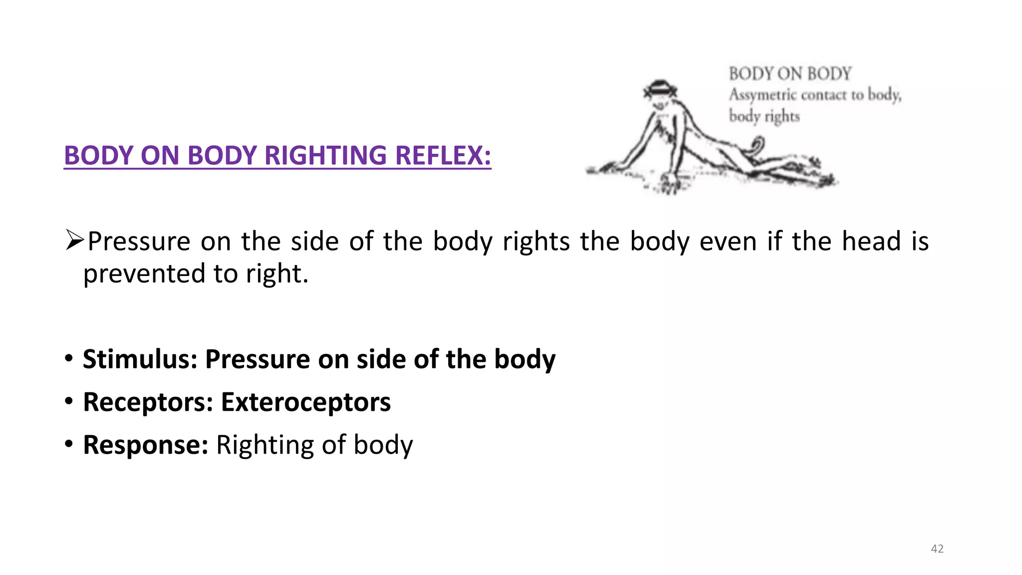 REGULATION OF POSTURE.pptx