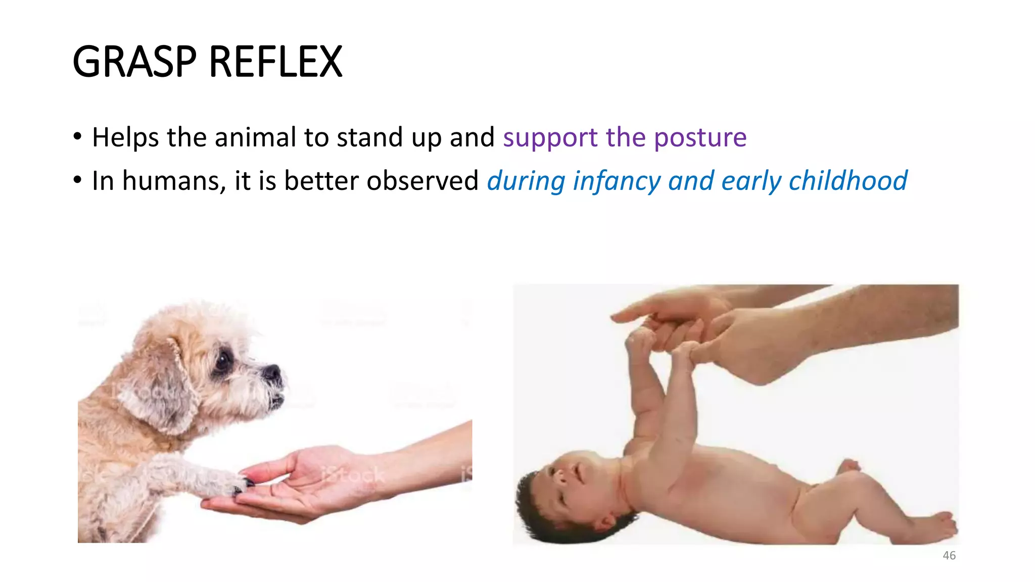 REGULATION OF POSTURE.pptx