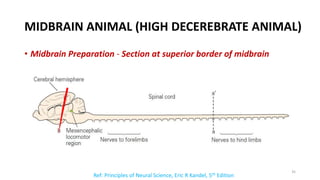 REGULATION OF POSTURE.pptx