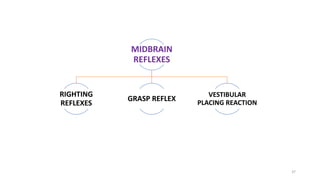 REGULATION OF POSTURE.pptx