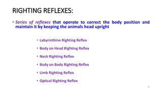 REGULATION OF POSTURE.pptx