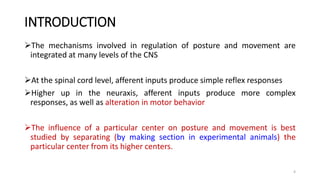 REGULATION OF POSTURE.pptx